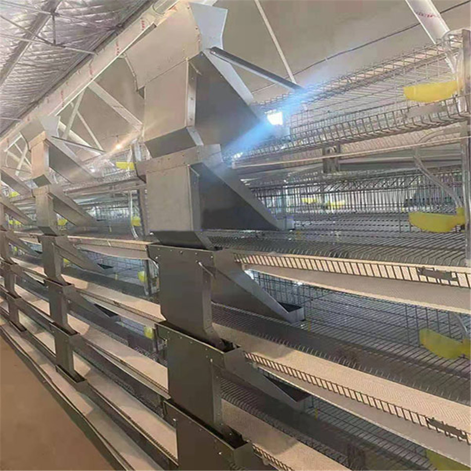 China High Quality Galvanized Wire Quail Cage factory and suppliers ...