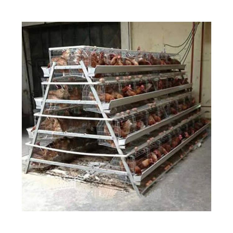 China A type 4 tiers egg chicken cage system chicken layer cage used in ...
