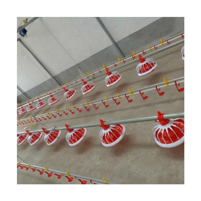China poultry farming ground floor feeding system for broiler chicken ...